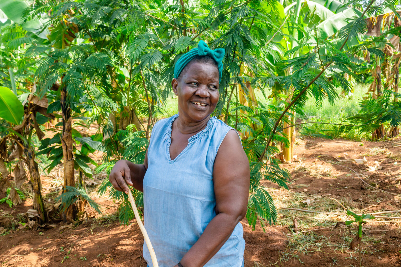 Bli månadsgivare i Vi-skogen och plantera träd som utrotar fattigdom.